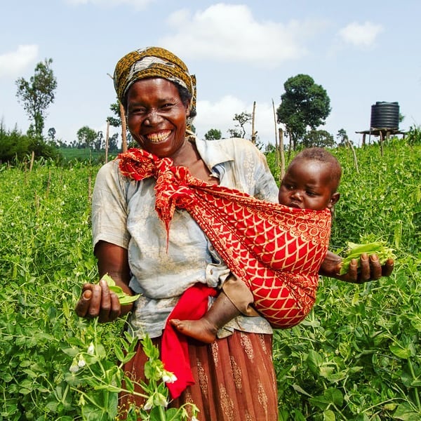 Ashanti Foods UG - SINA (Social Innovation Academy)